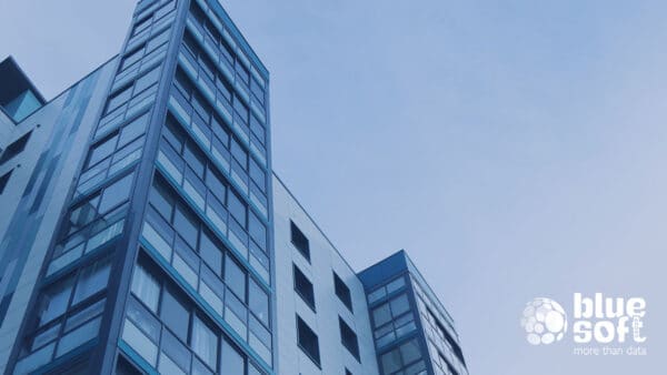 Blue Soft Group - Voir et agir à 360° dans la nouvelle ère digitale