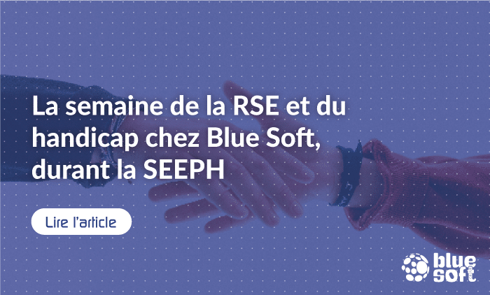 CSR and disability week at Blue Soft, during SEEPH