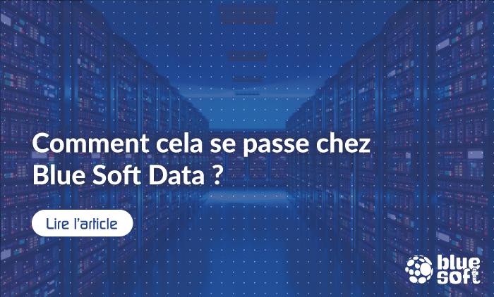 How does it work at Blue Soft Data?