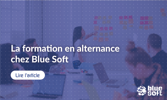 La formation en alternance chez Blue Soft